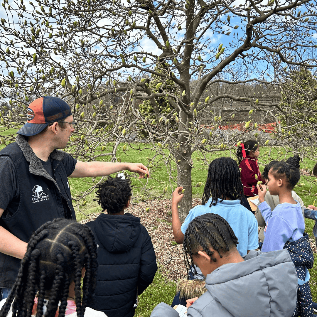 Cultivating Tomorrow's Environmental Champions Through Outdoor ...