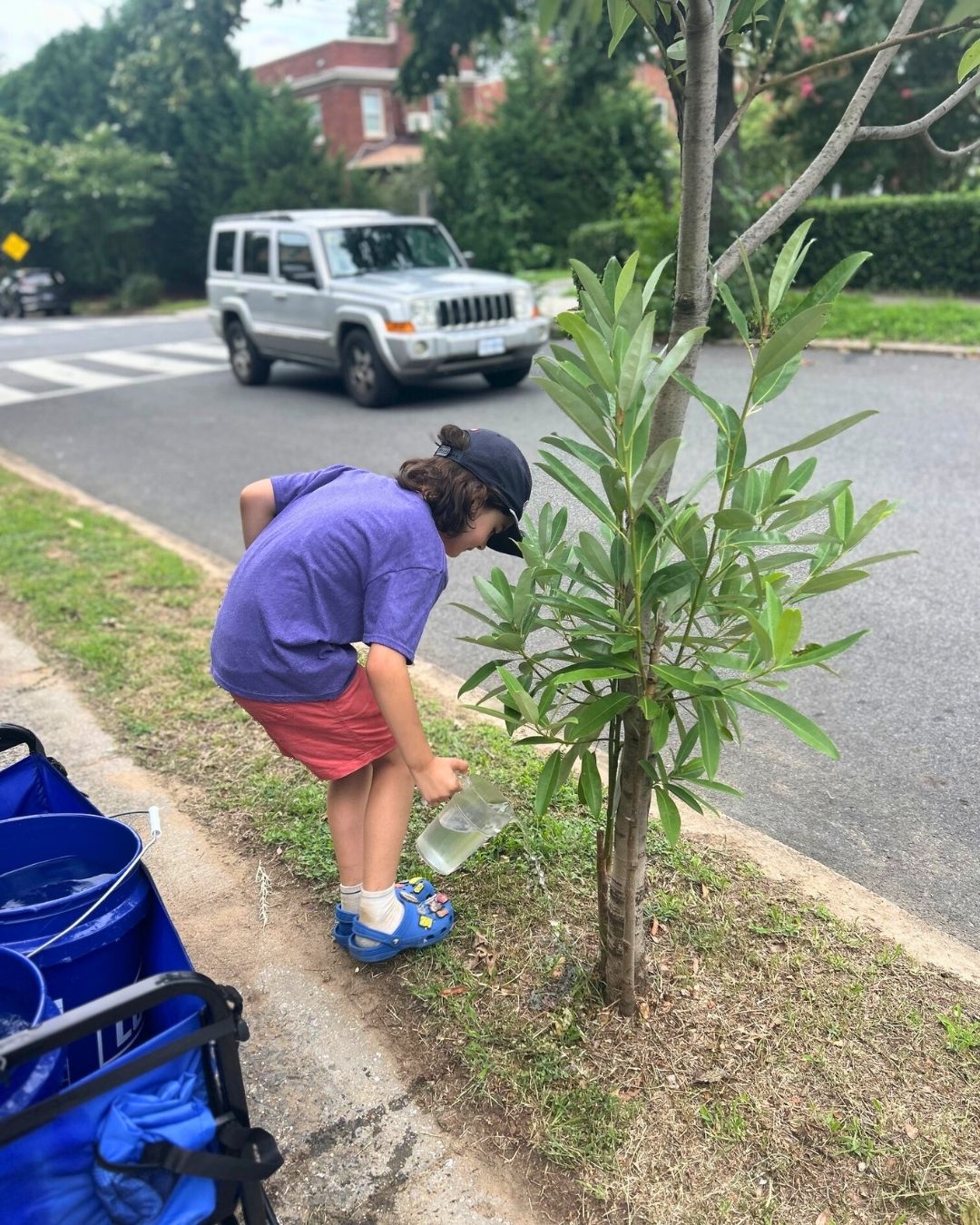 One Kid’s Mission to Water All the Trees in His Neighborhood - Casey Trees