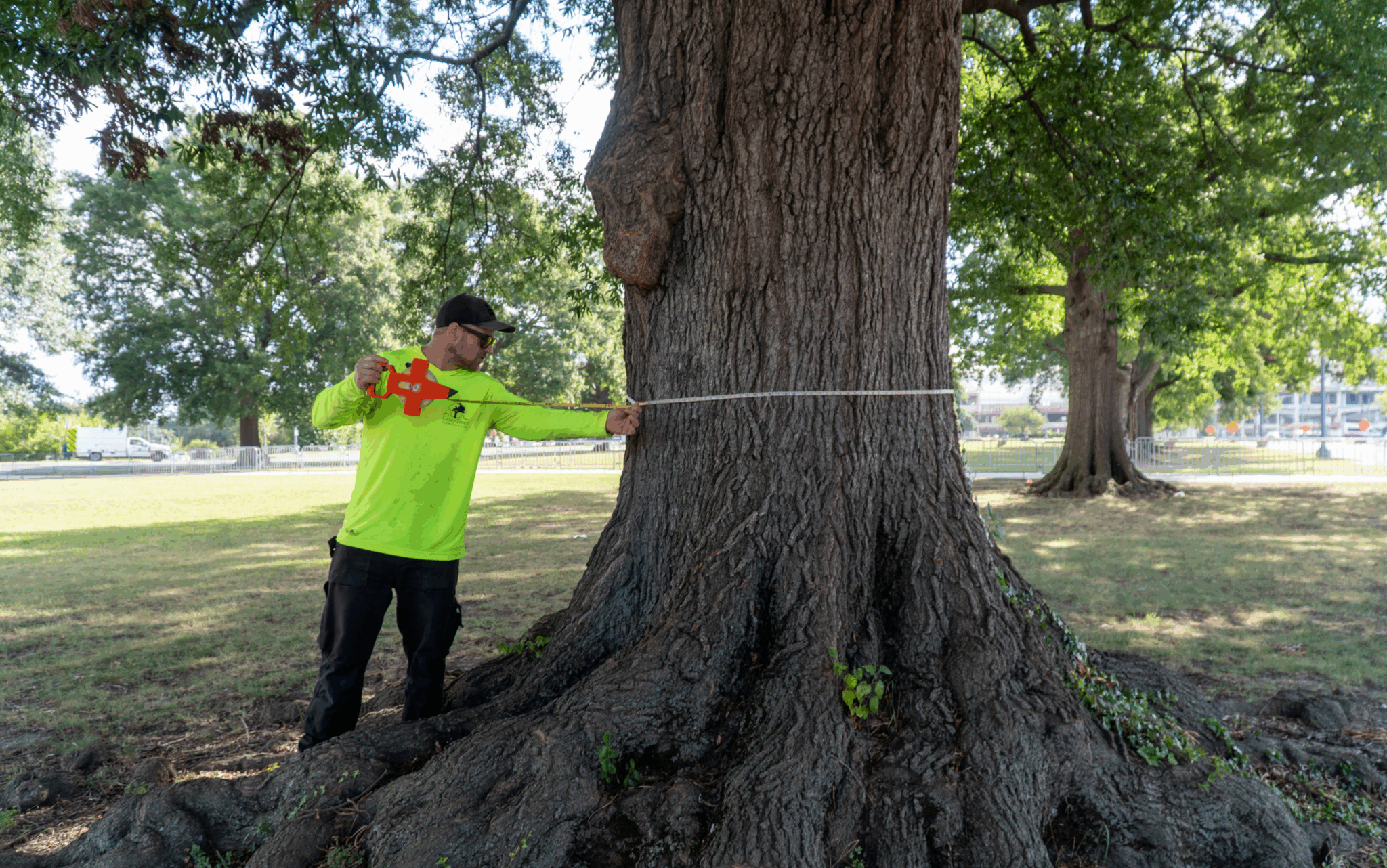 Update: Tree Preservation Enhancement Amendment Act of 2025 - Casey Trees