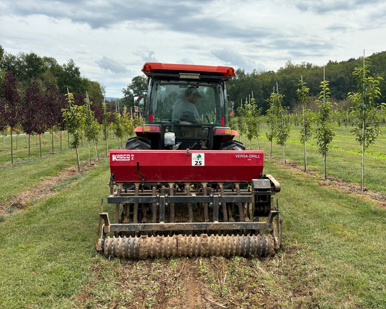Summer Highlights from the Casey Tree Farm - Casey Trees