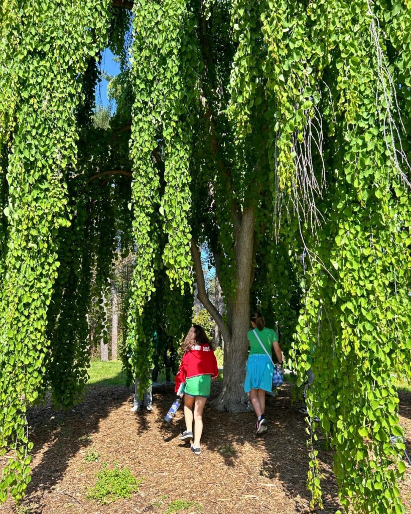 Keeping Environmental Education Alive in DC Schools - Casey Trees