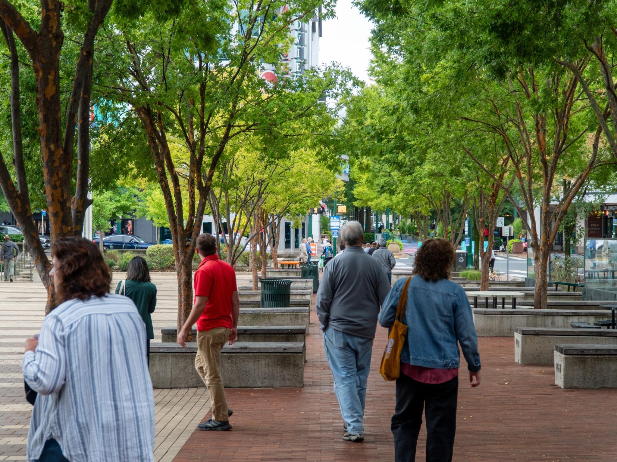 Rooted in Collaboration: The 2025 Urban Tree Summit - Casey Trees