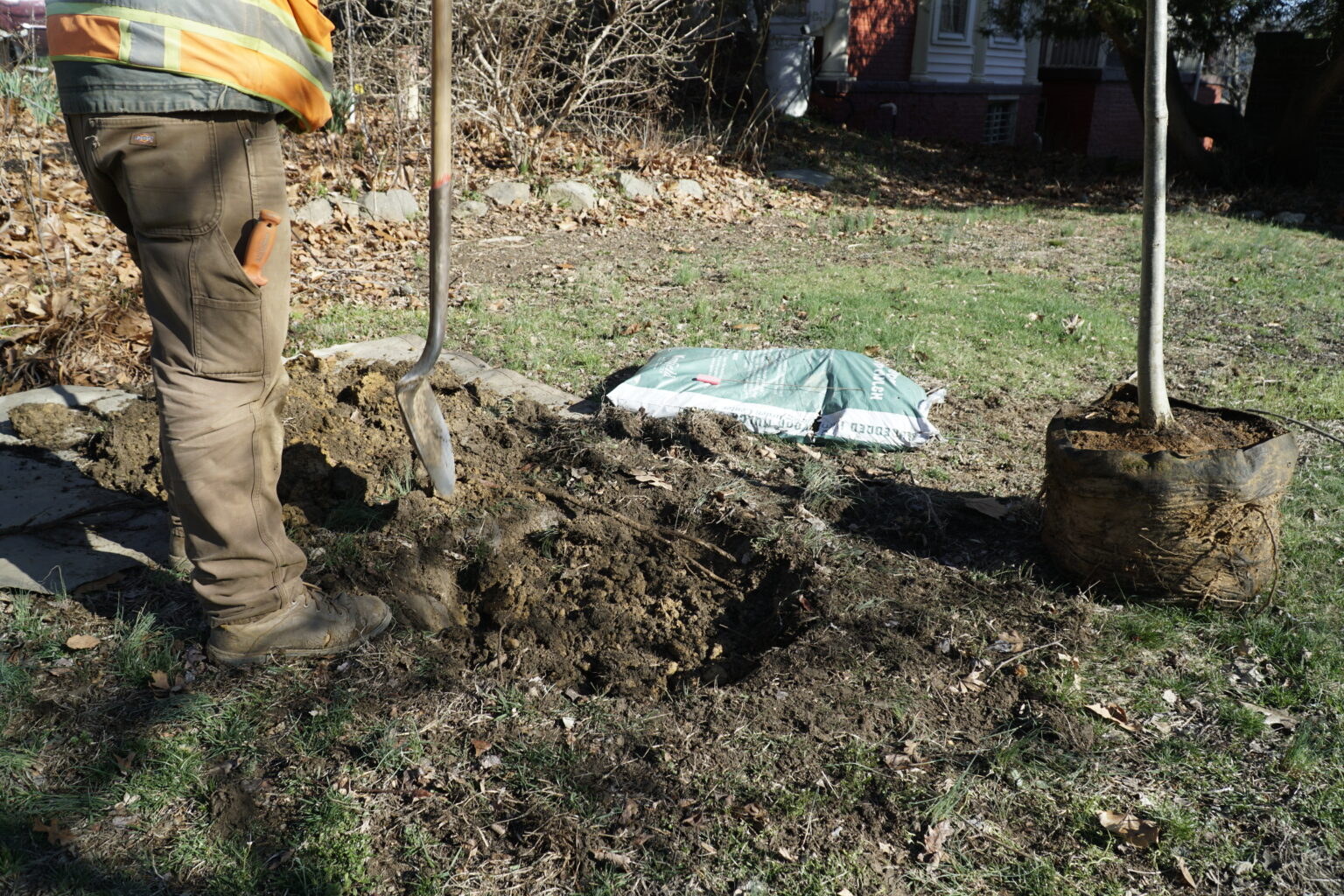 How to Plant a Tree - Casey Trees