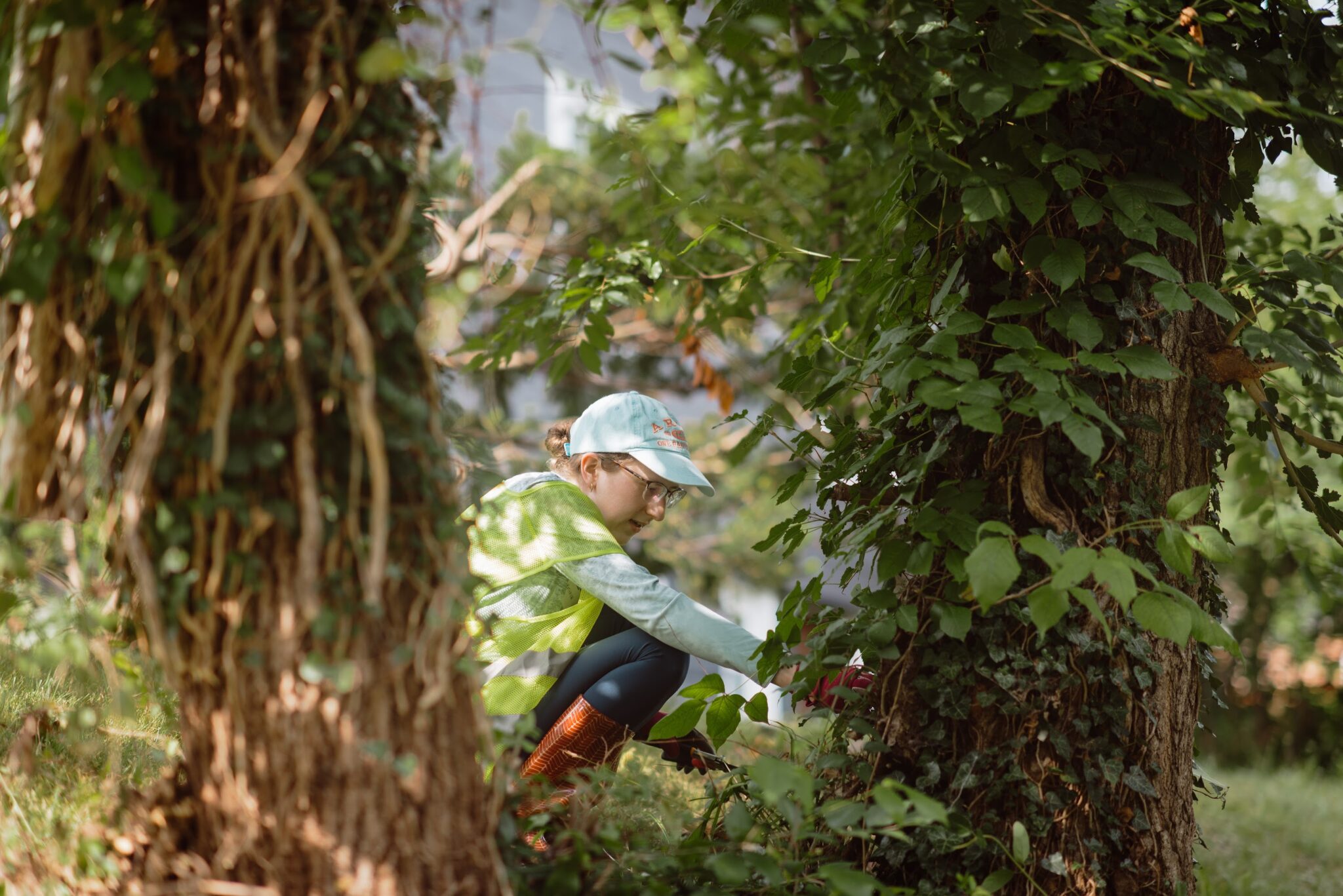 Our Impact: Measured and Shared - Casey Trees