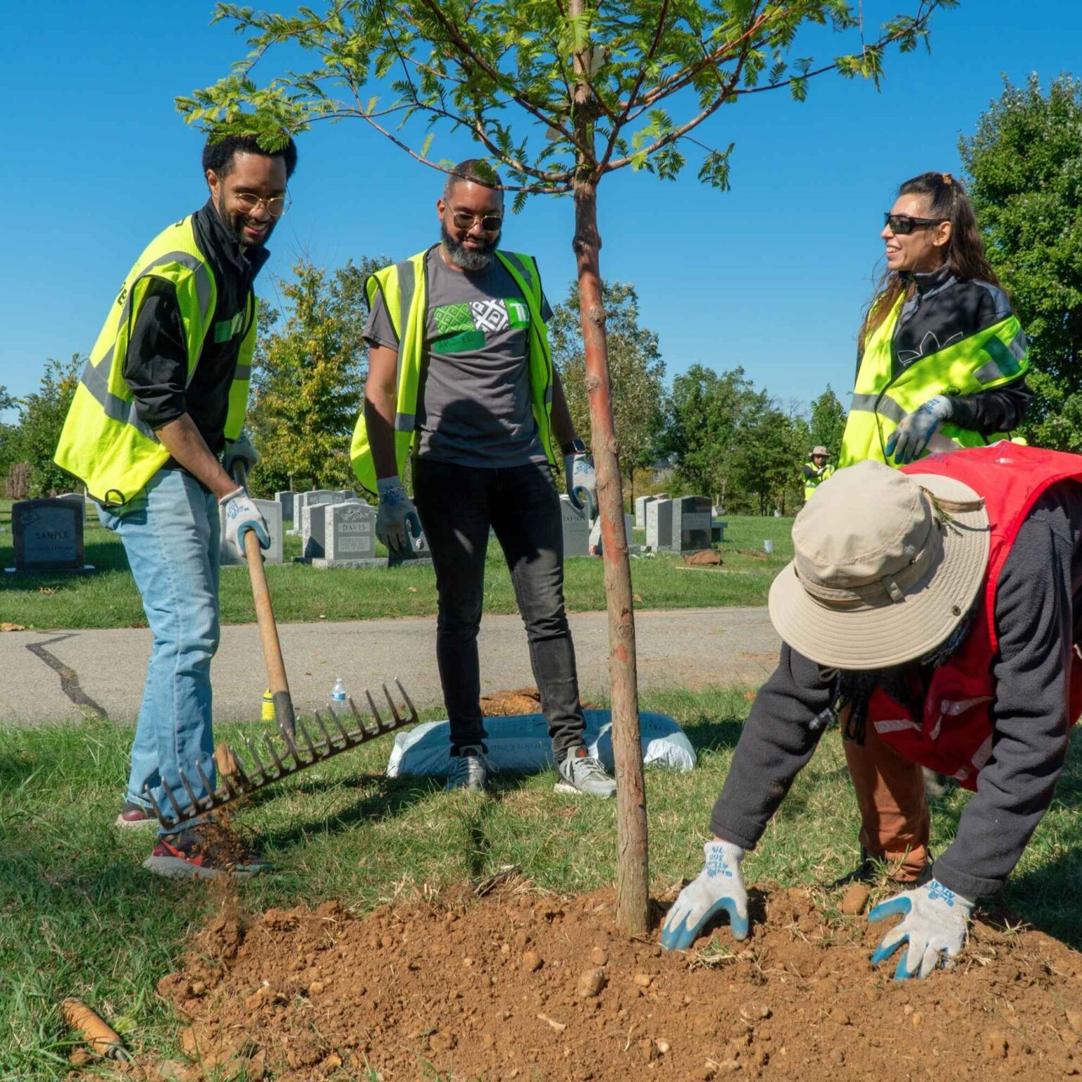 250 Years of America. 250 Trees for its Capital. - Casey Trees