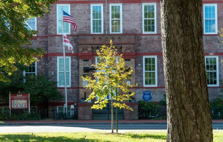 250 Years of America. 250 Trees for its Capital. - Casey Trees