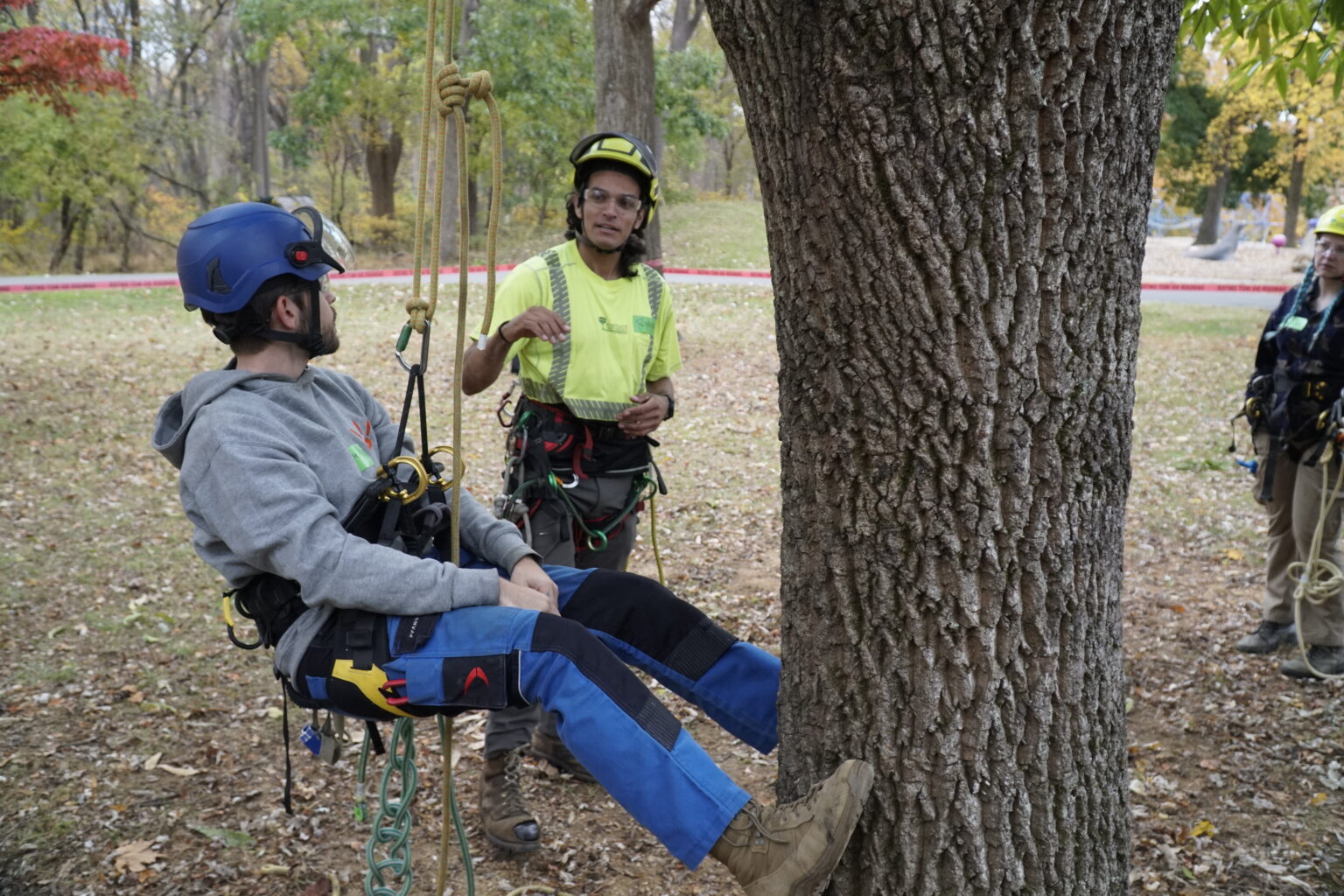 Setting Our Sights High: The 2025 Tree Climbing Academy - Casey Trees