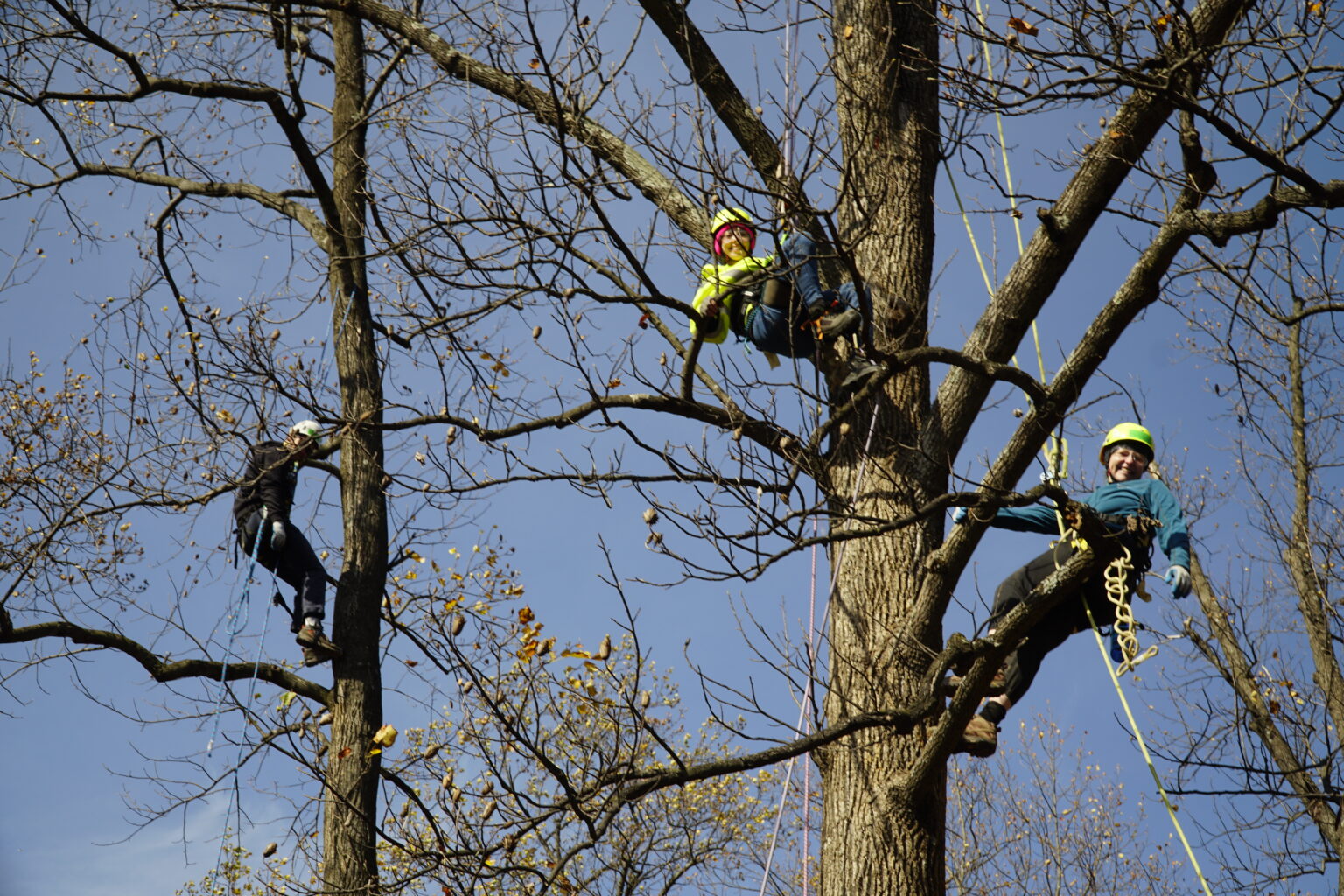Setting Our Sights High: The 2025 Tree Climbing Academy - Casey Trees