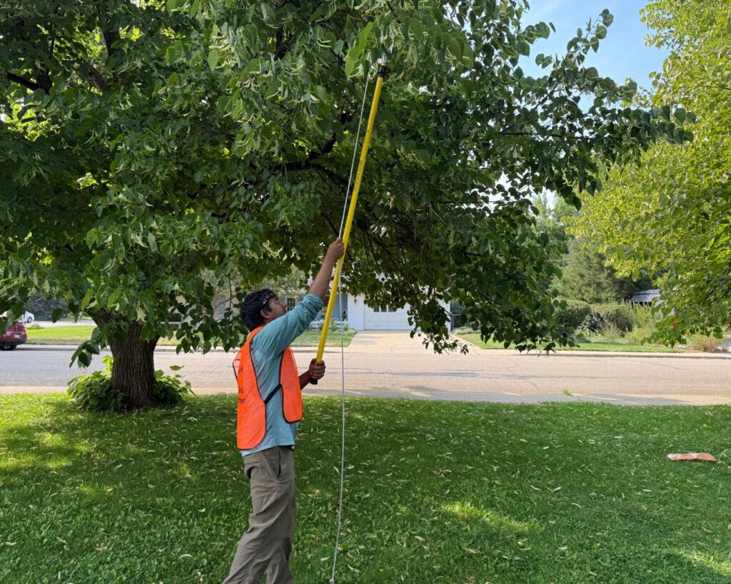 Checking in With Our 2025 GCA Urban Forestry Fellows - Casey Trees