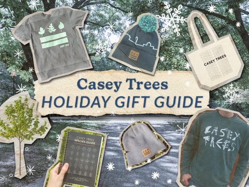 Our 2025 Holiday Gift Guide - Casey Trees