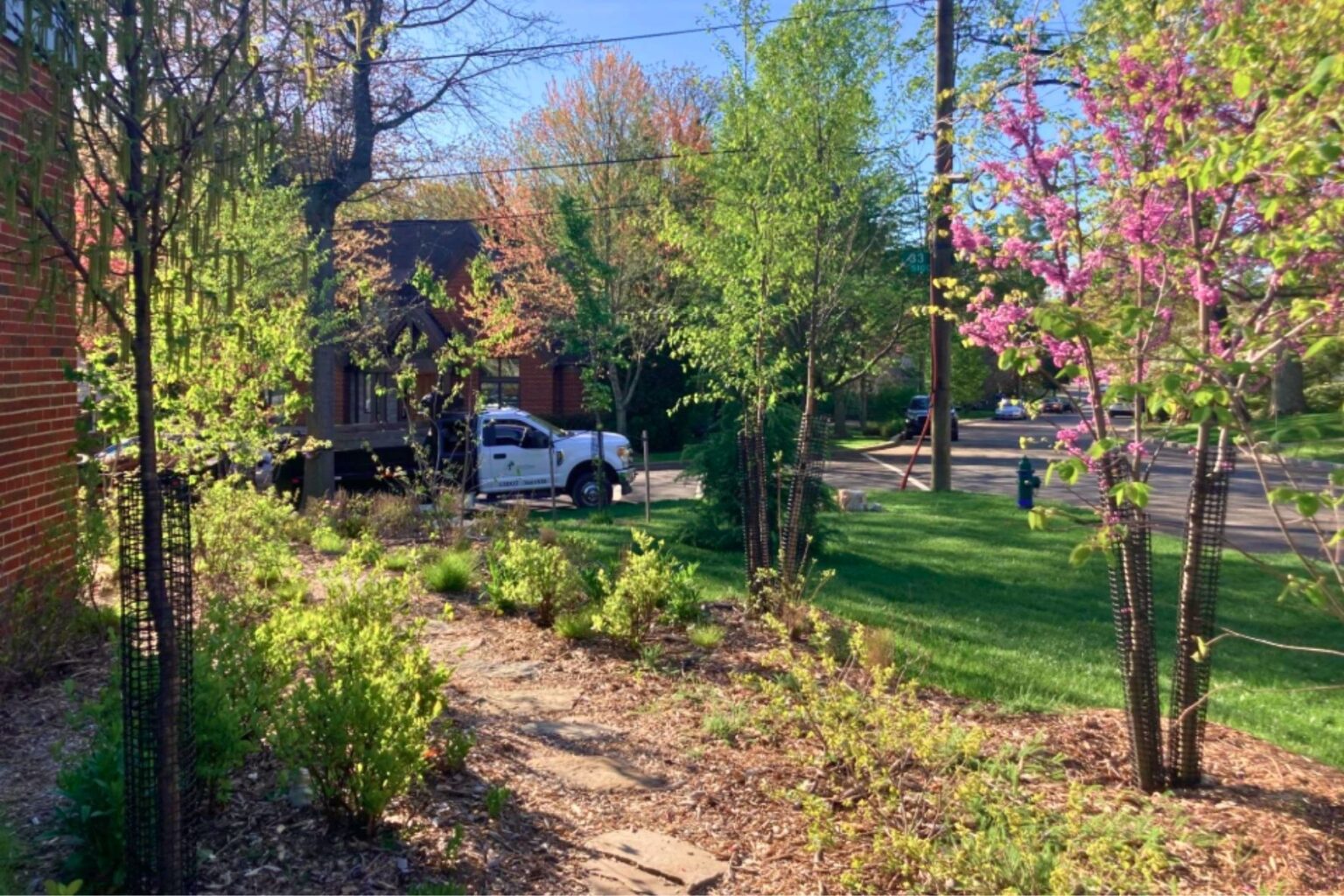 Creating Pollinator Pathways Through Washington, DC - Casey Trees