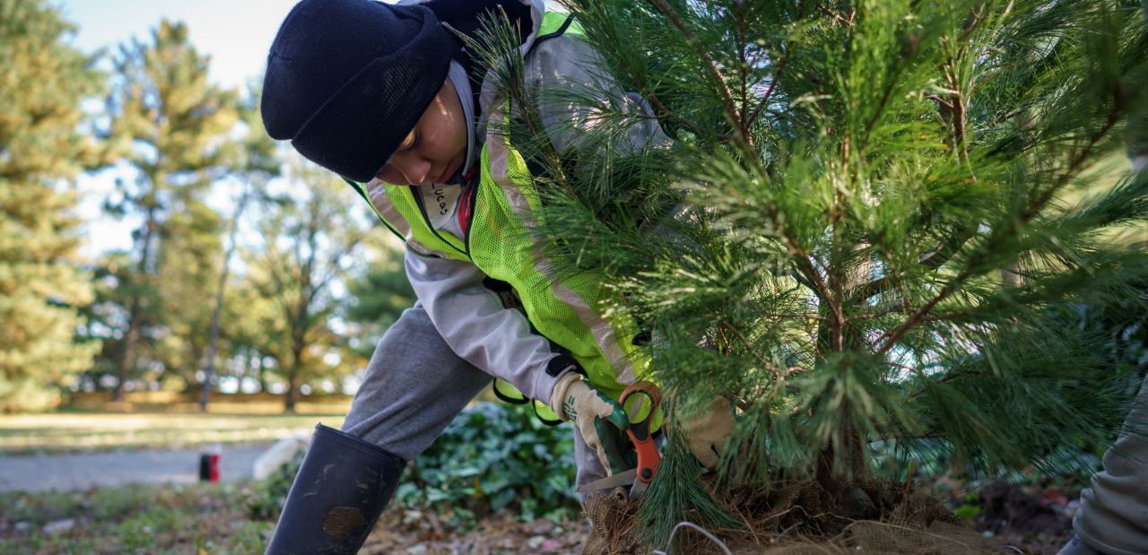 Your 2026 Checklist for a Greener Year - Casey Trees