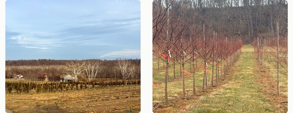 Showcasing Our Farm at MANTS - Casey Trees