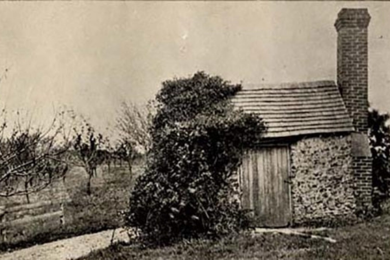 Frederick Douglass and the Nature at Cedar Hill - Casey Trees